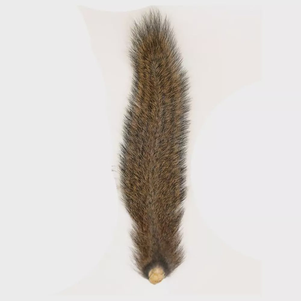 GREY SQUIRREL TAIL