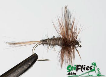 SCI FLIES ADAMS DRY FLY - 3 PACK