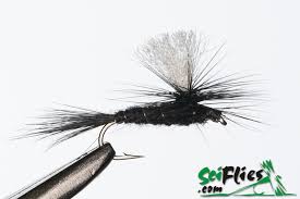 SCI FLIES CRAZY CHARLIE