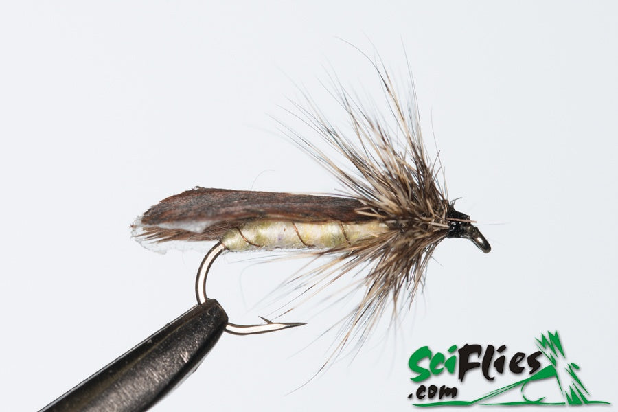 SCI FLIES HAIR CADDIS - 3 PACK