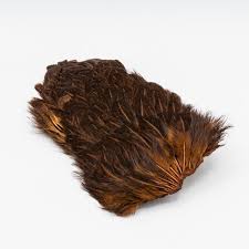 HARELINE INDIAN HEN BACK