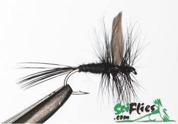 SCI FLIES BLACK GNAT DRY FLY - 3 PACK