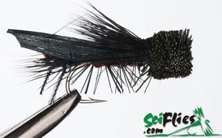 SCI FLIES CRICKET TERRESTRIAL FLY
