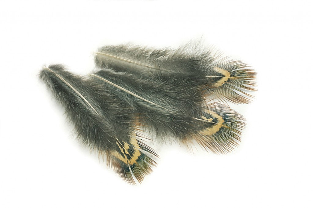 VENIARD COCK PHEASANT PLUMAGE